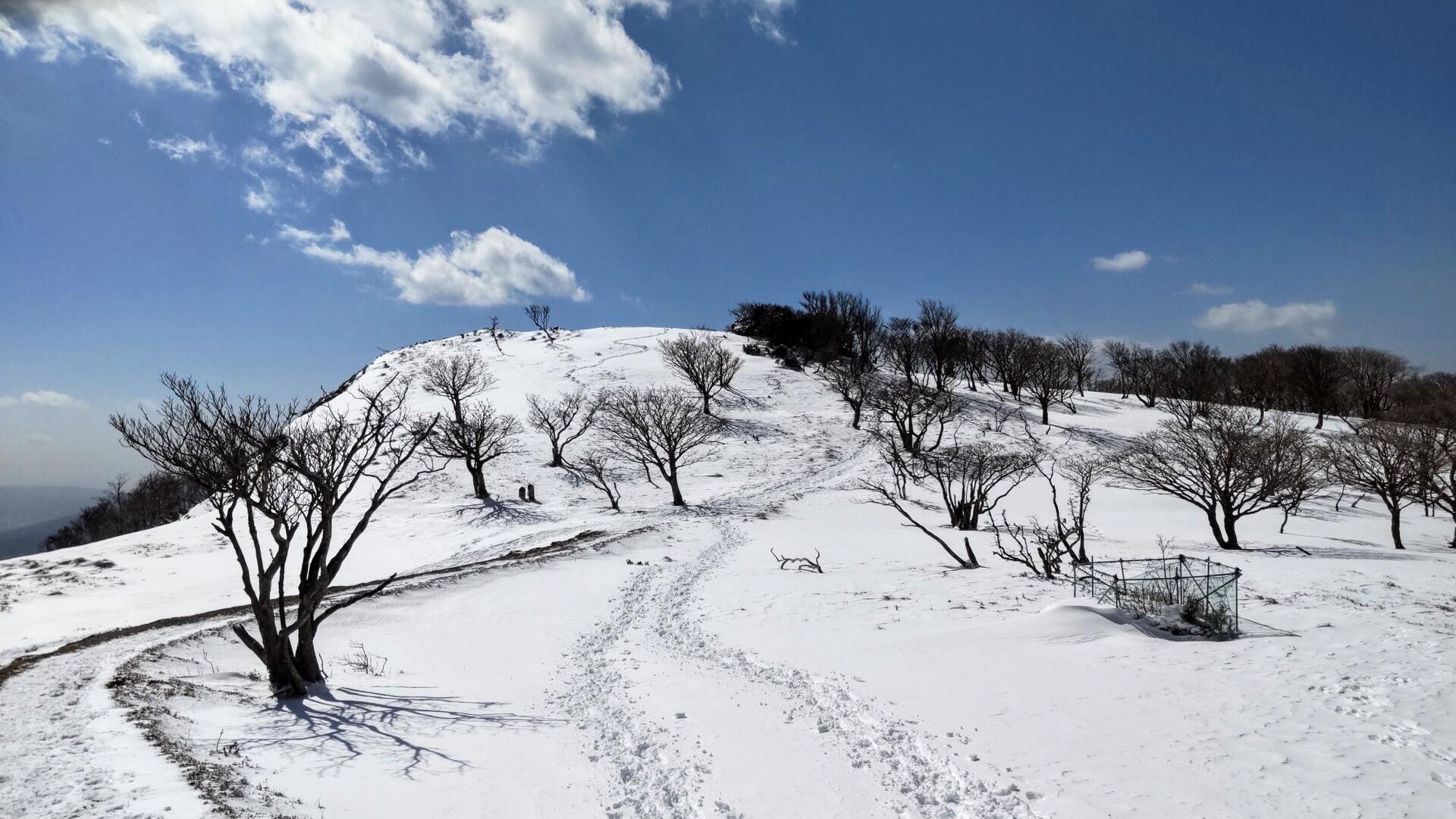 権現山から蓬莱山まで、ピストン雪山歩き / gamisanさんの皆子山の活動データ | YAMAP / ヤマップ