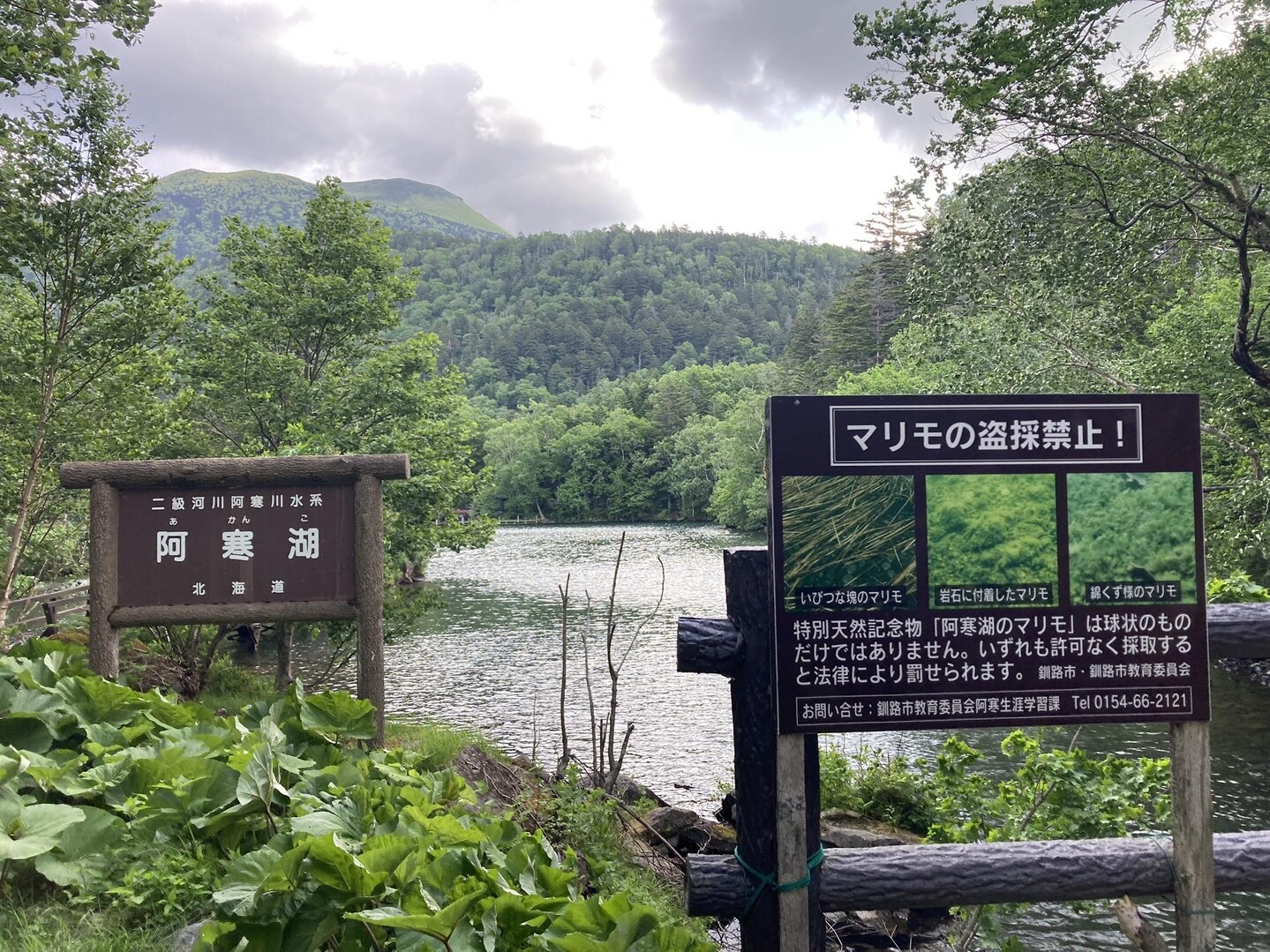 雄阿寒岳-2023-06-18 / ken_sugarさんの雄阿寒岳の活動データ | YAMAP / ヤマップ