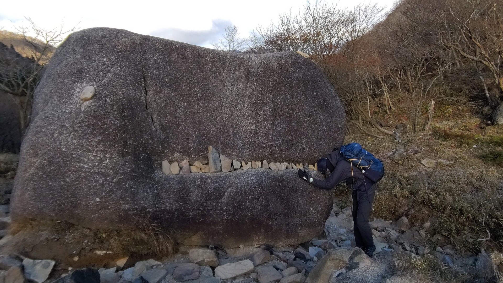 ゴジラに会えた😆 / wakki41さんの御在所岳（御在所山）・雨乞岳の活動データ | YAMAP / ヤマップ