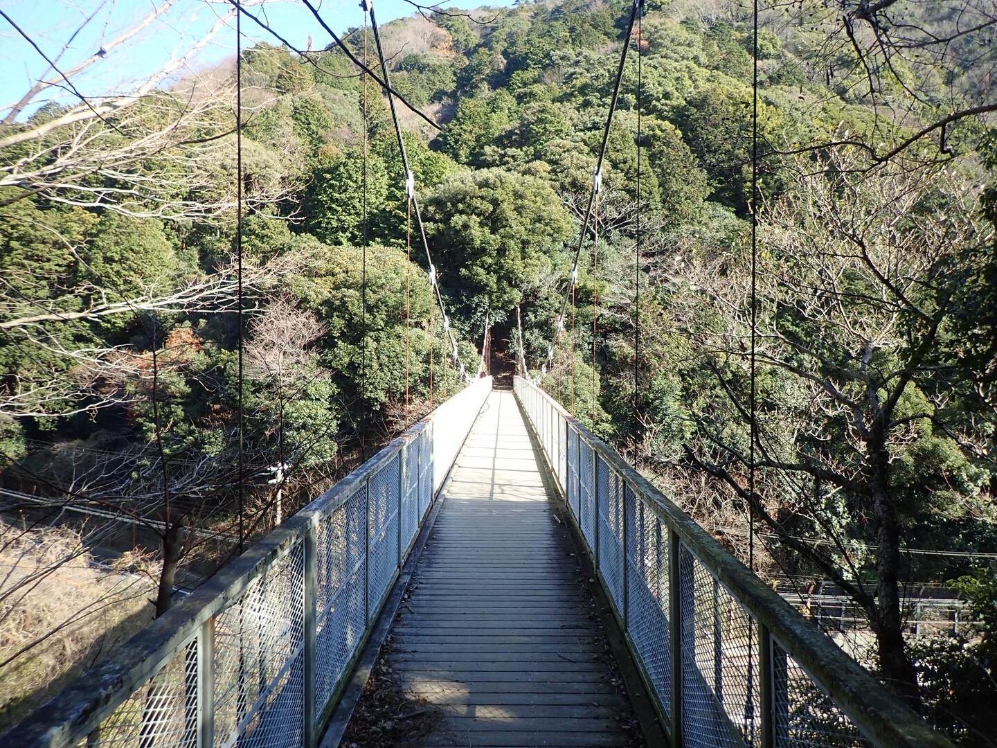冬の六甲山全縦走 Part.2 / みゅーさんの六甲山・長峰山・摩耶山の活動データ | YAMAP / ヤマップ