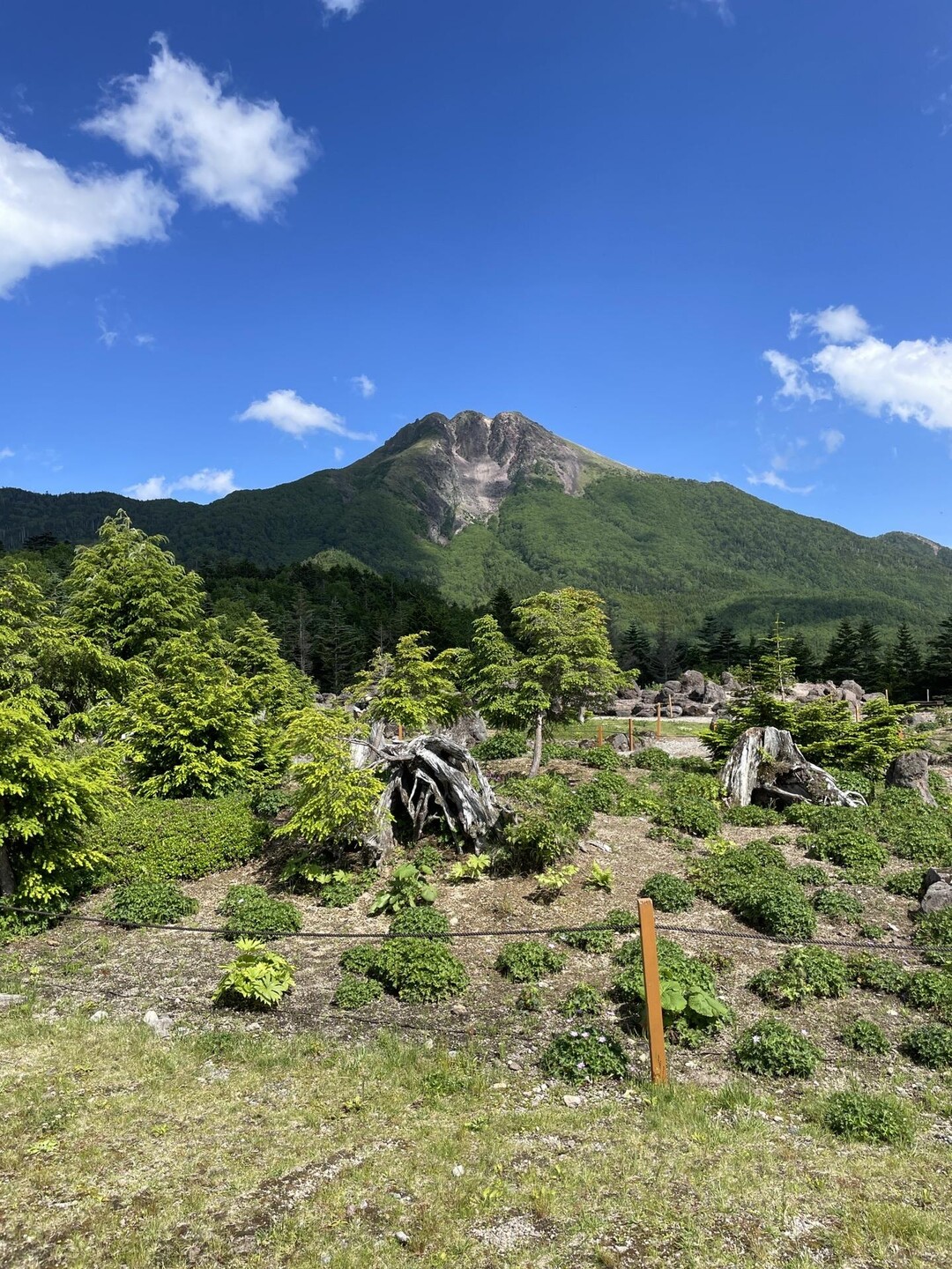日光白根山 / KJさんの日光白根山・五色山・錫ヶ岳の活動データ | YAMAP / ヤマップ