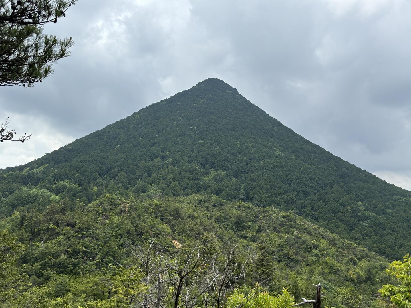 三上山（近江富士）・東光寺日陽山・東光寺不動山・妙光寺山 2024-6-2 / jt0450さんの三上山・鏡山の活動データ | YAMAP / ヤマップ