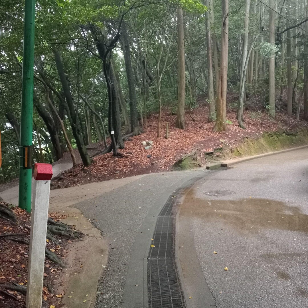 NTNさんの投稿したフィールドメモ | YAMAP / ヤマップ