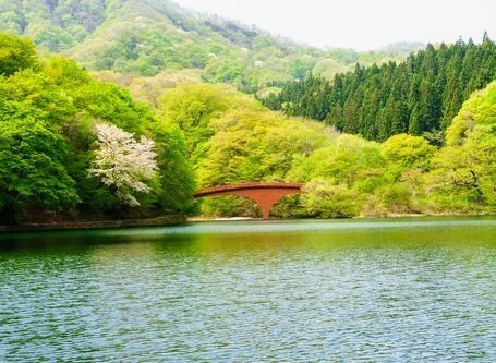 「花王ハミングフレア」のCM見ましたか ... / びすけっとさんのモーメント | YAMAP / ヤマップ