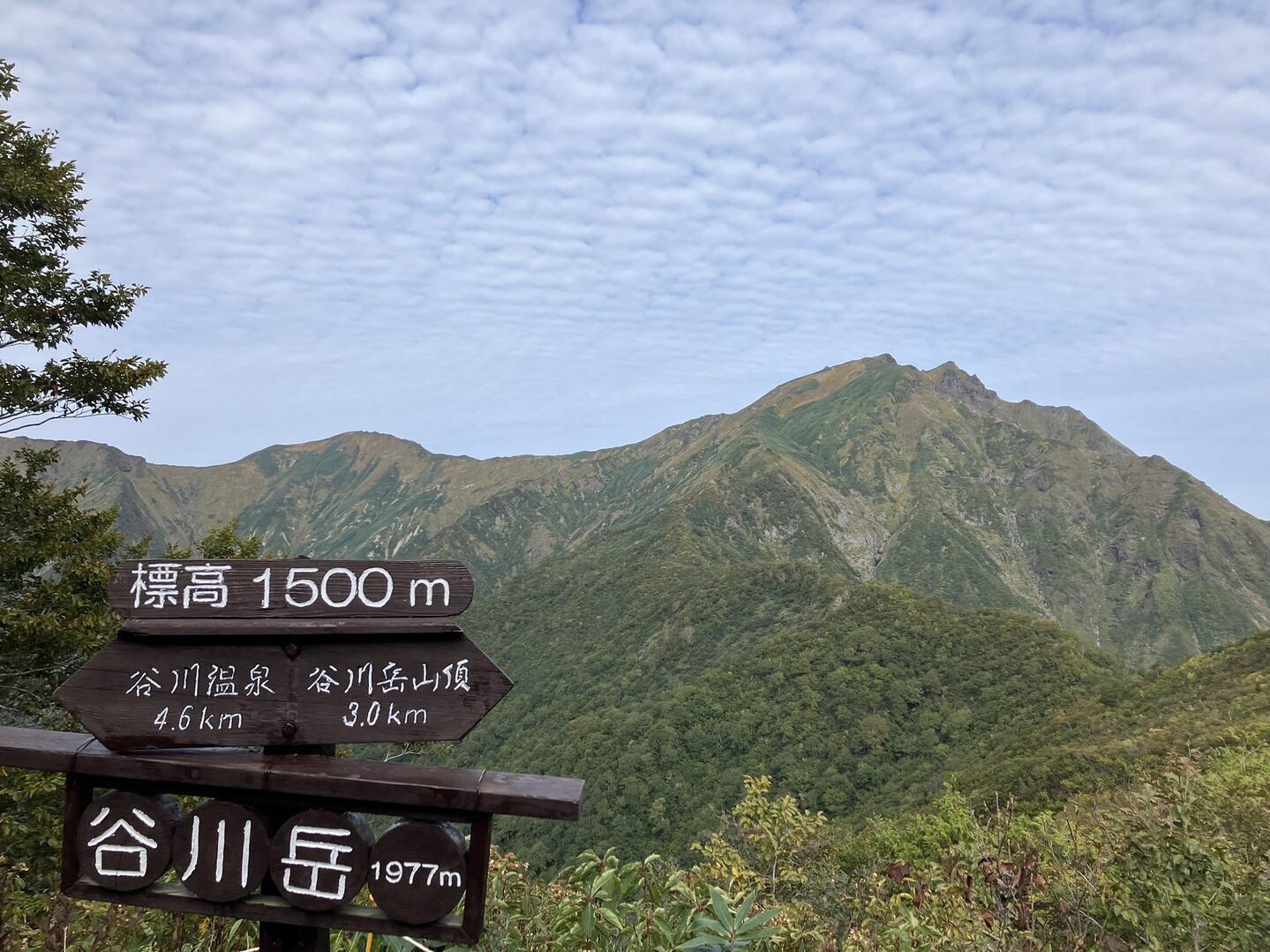 谷川岳（トマの耳）・（オキノ耳） / YUKIZARU。さんの谷川岳・七ツ小屋山・大源太山の活動データ | YAMAP / ヤマップ