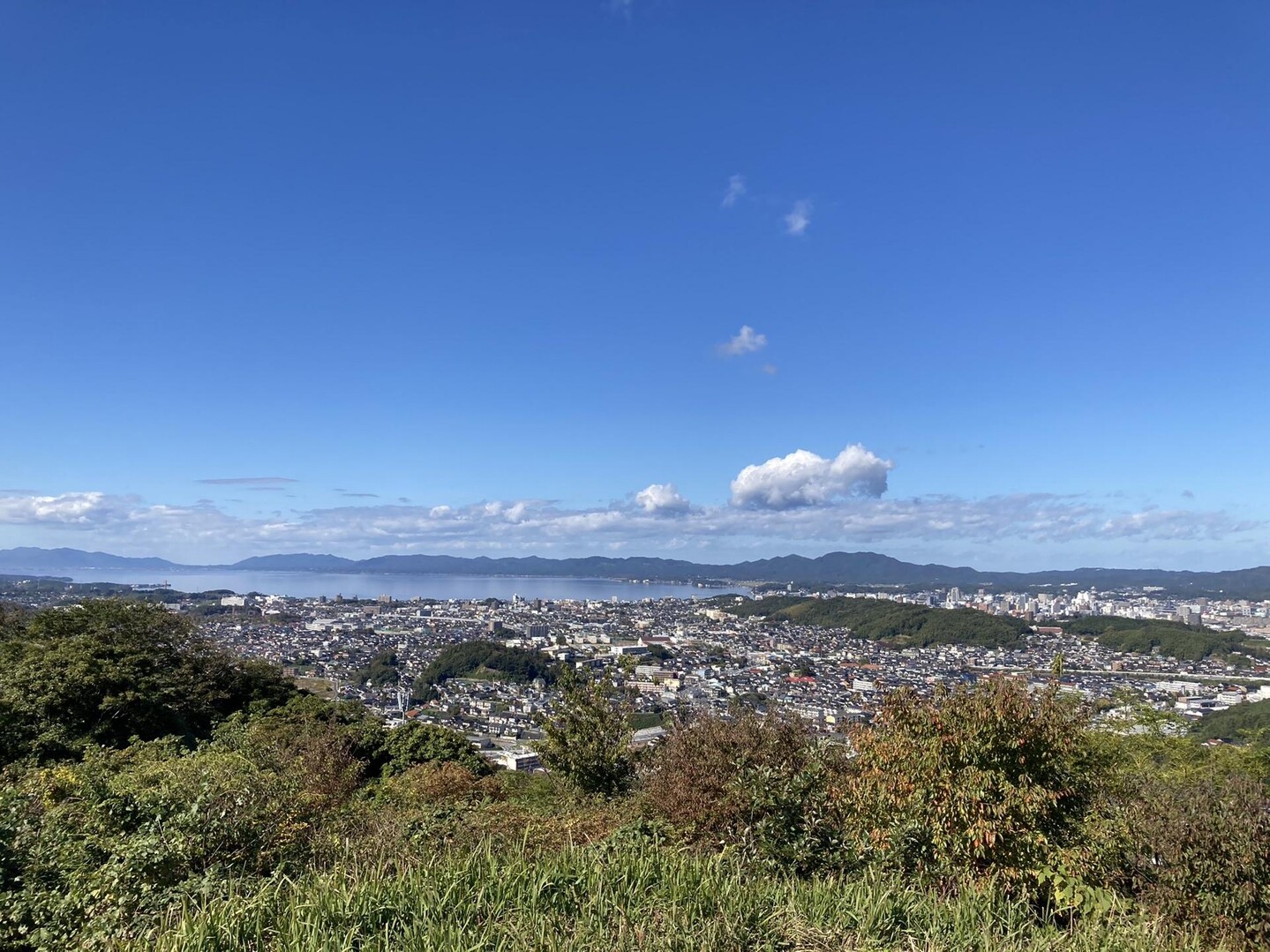 茶臼山 / fumiconさんの茶臼山の活動データ | YAMAP / ヤマップ