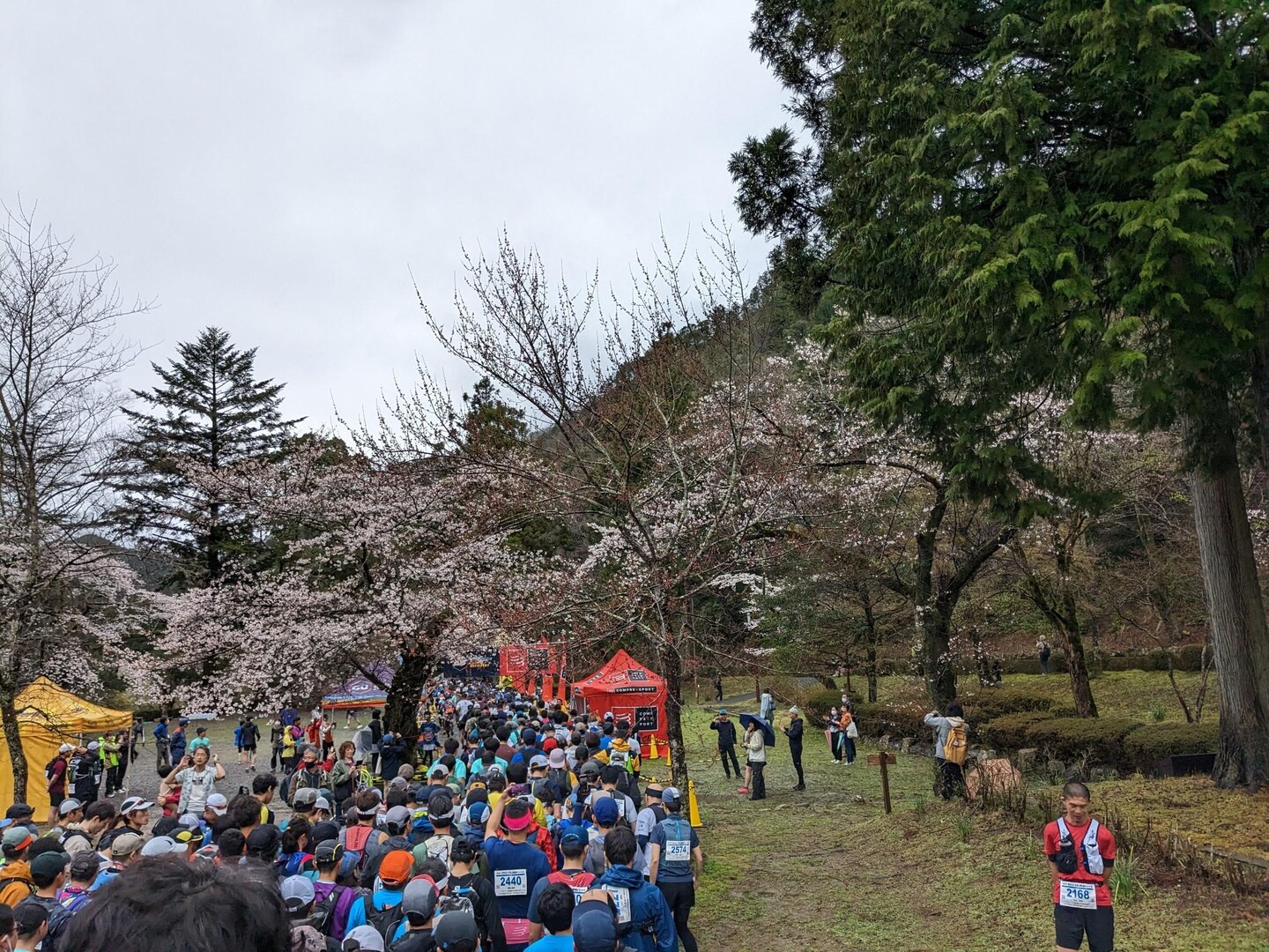 OSJ新城トレイル11K / 流離いのむっちーさんの宇連山・鳳来寺山・岩古谷山の活動データ | YAMAP / ヤマップ
