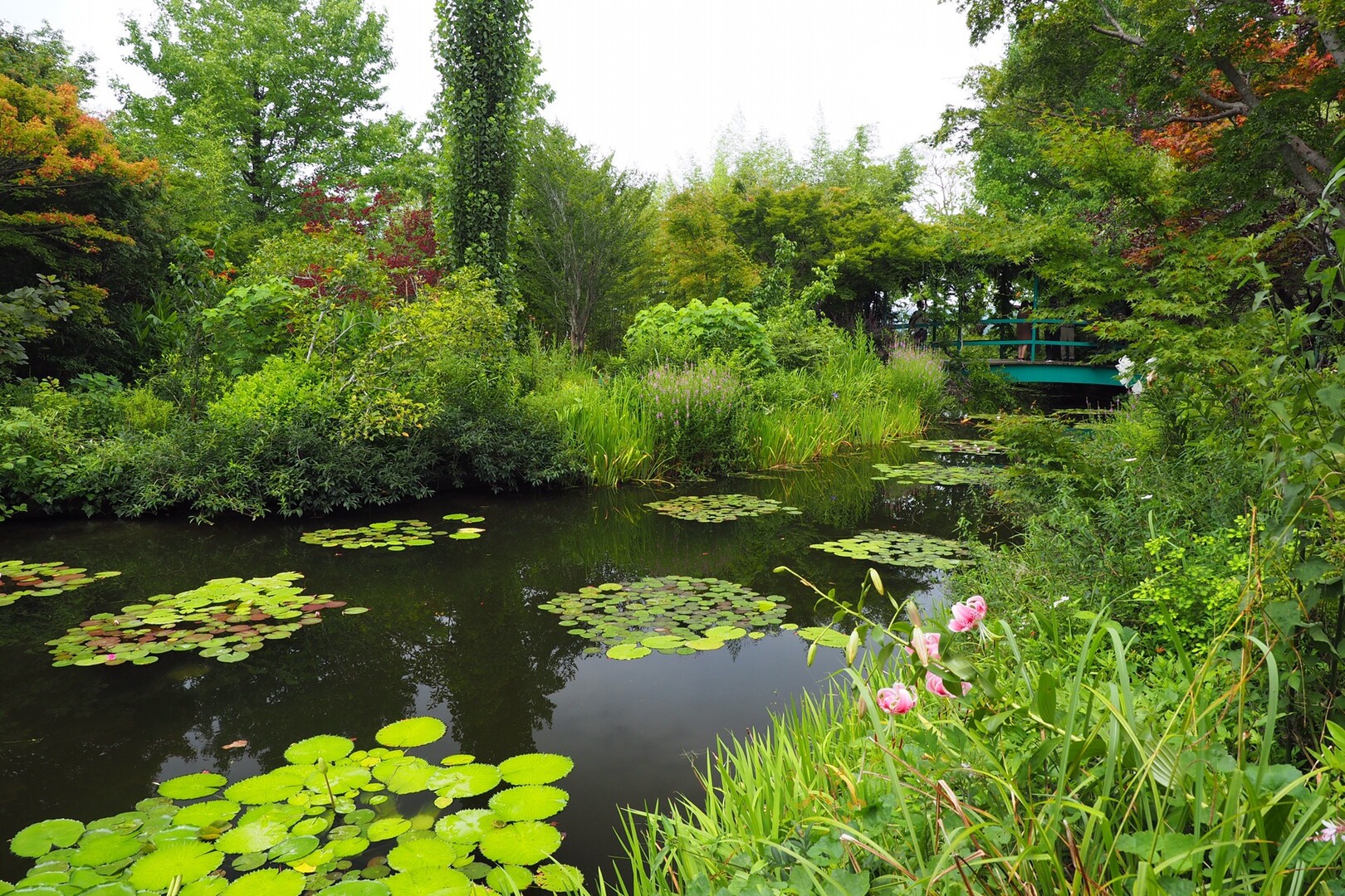 モネの庭-2020-07-23 / cocoさんの四国遍路その5の活動データ | YAMAP / ヤマップ