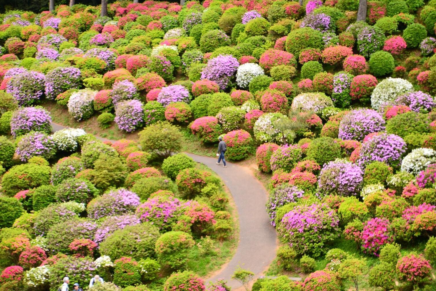 2023.04.23(日) 13:41 / のりすさんのモーメント | YAMAP / ヤマップ