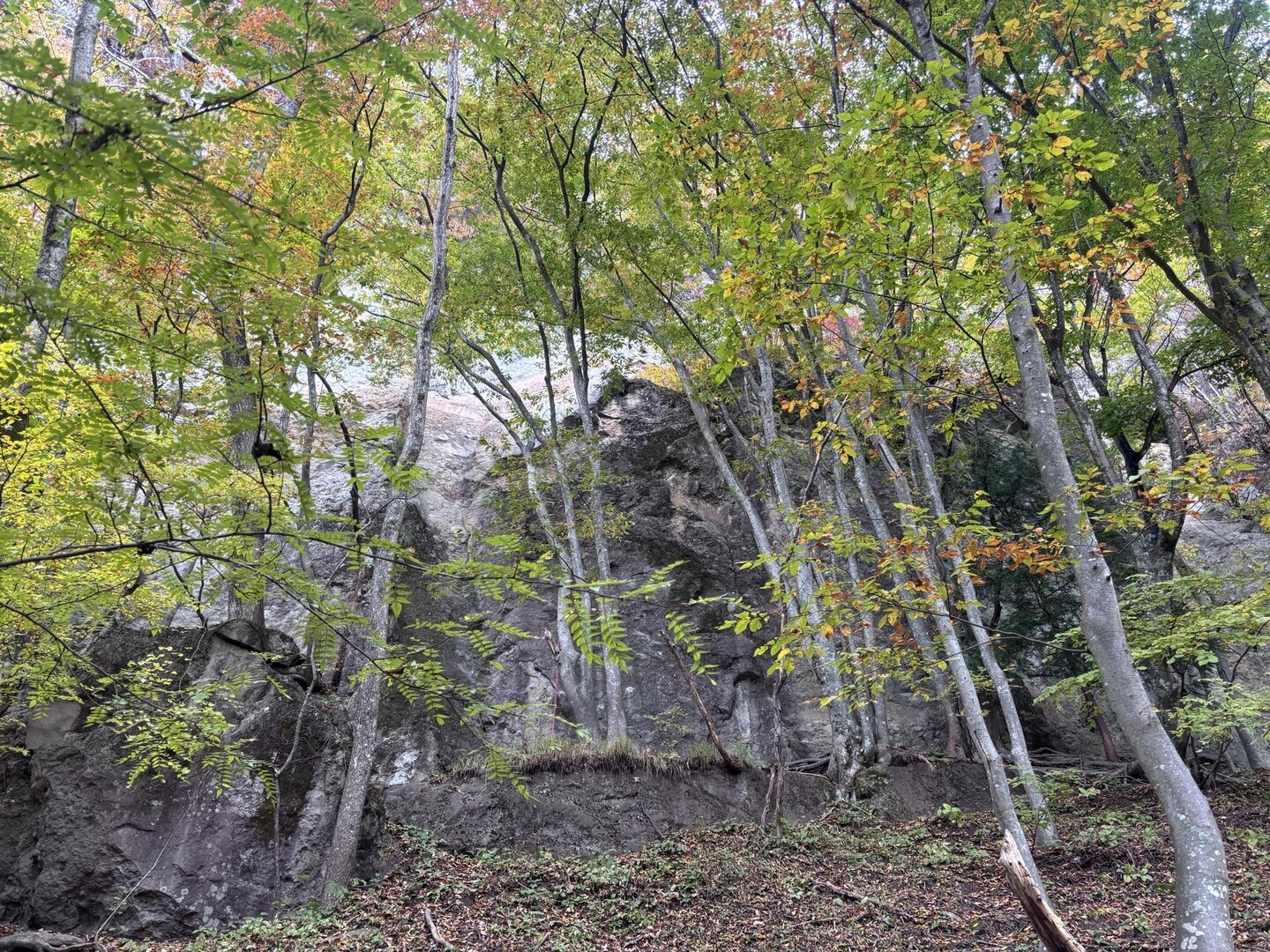 甲府幕岩 2024.11.10 前回の... / ma34sさんのモーメント | YAMAP / ヤマップ