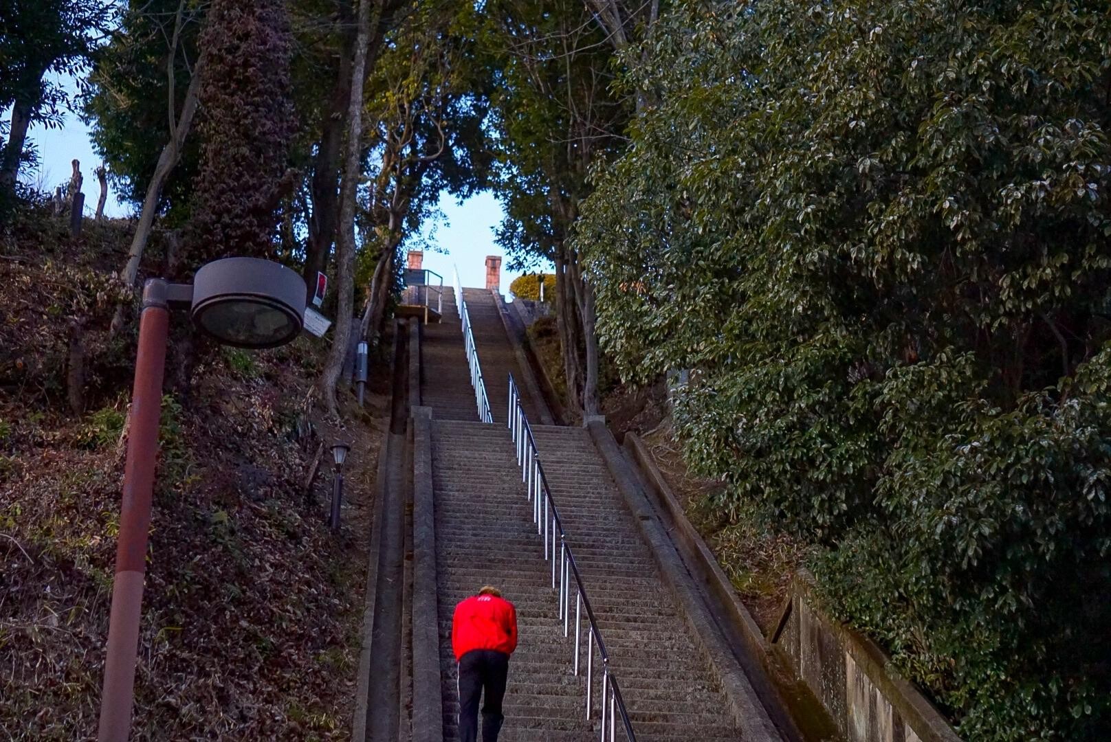 男山の階段ナイトX3 / 駄目パパさんの八丈岩山の活動データ | YAMAP / ヤマップ