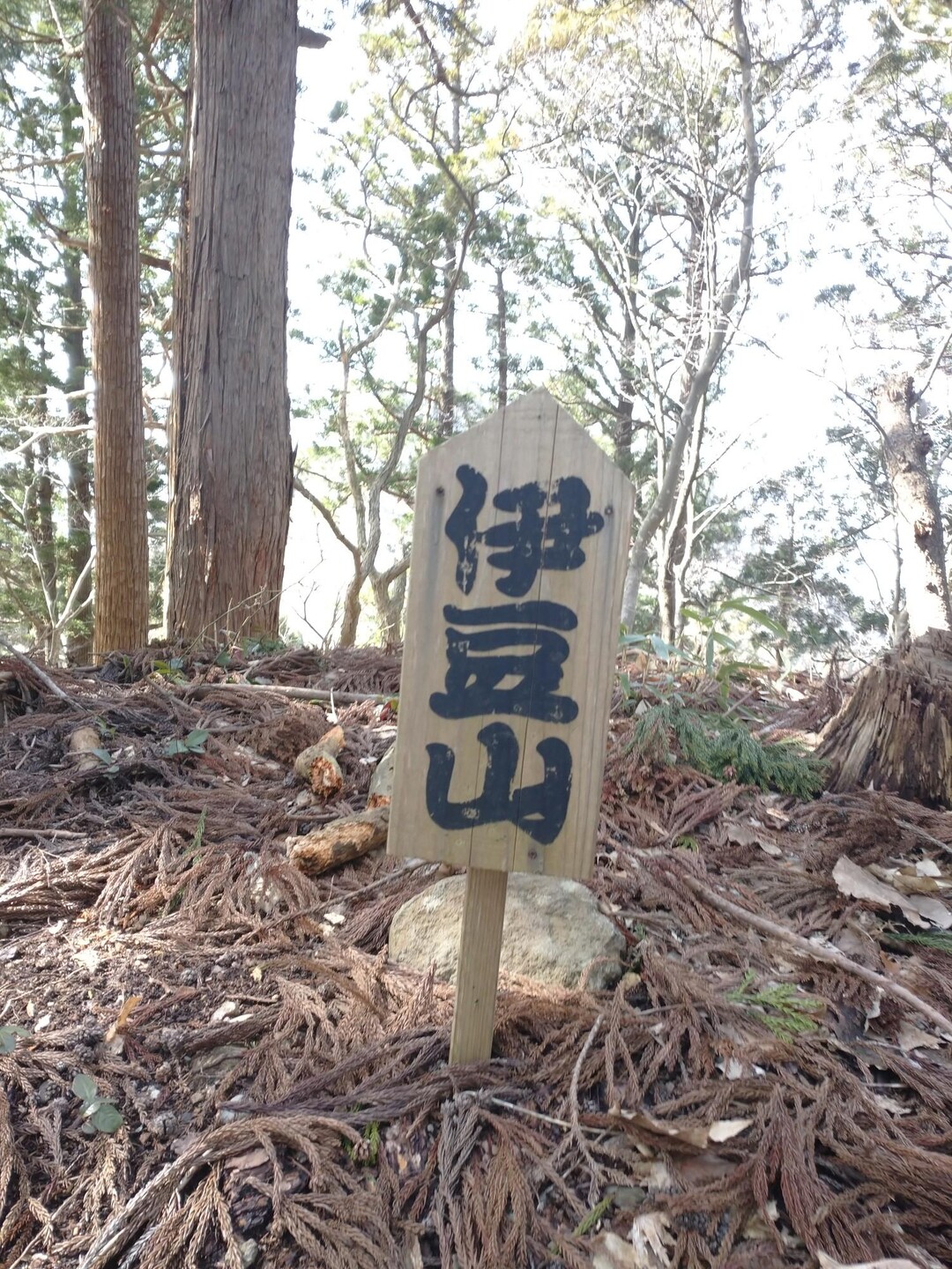 伊豆山神社 / Curious George さんの登山の活動データ | YAMAP / ヤマップ