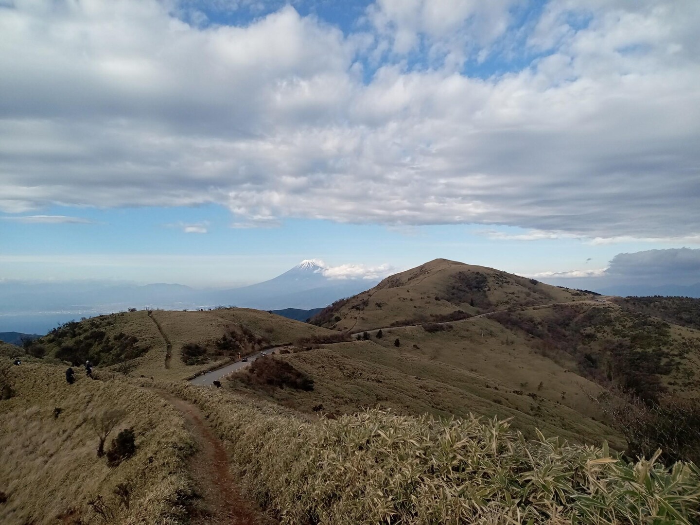 ITJ 70k #第10回伊豆トレイルジャーニー / 冷奴♪さんのトレイルランニングの活動データ | YAMAP / ヤマップ