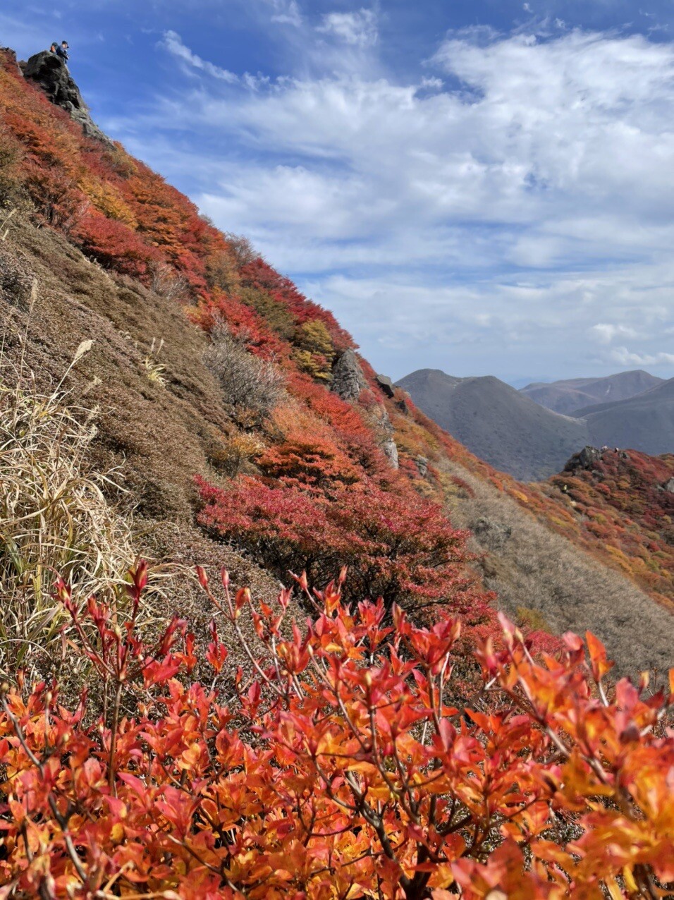 三俣山（西峰）・三俣山（Ⅳ峰）・三俣山（本峰）・三俣山（北峰）・三俣山（南峰） / あきらさんの九重山（久住山）・大船山・星生山の活動データ | YAMAP / ヤマップ