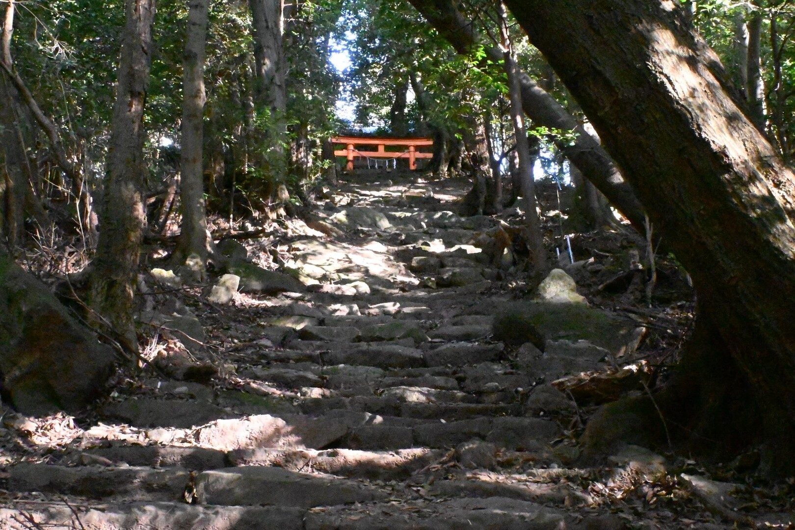 登り初め ① / Naope!さんの村積山の活動データ | YAMAP / ヤマップ