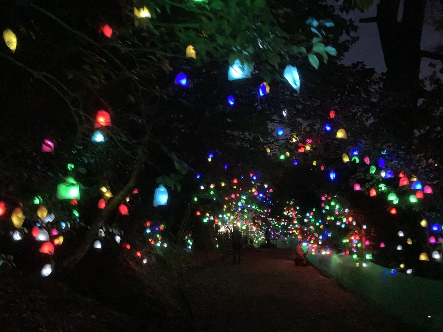 湯築山イルミネーションrun / Ypaaさんの四国遍路その15の活動データ | YAMAP / ヤマップ