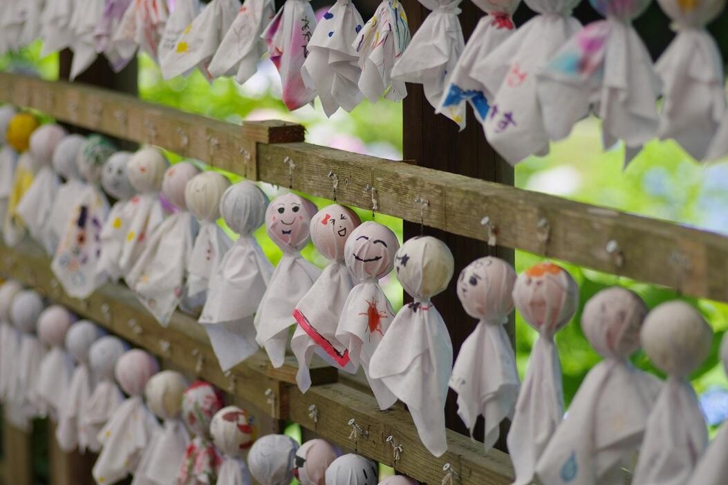 丹生大師🐸 / ida☆tennさんの櫛田川の活動データ | YAMAP / ヤマップ