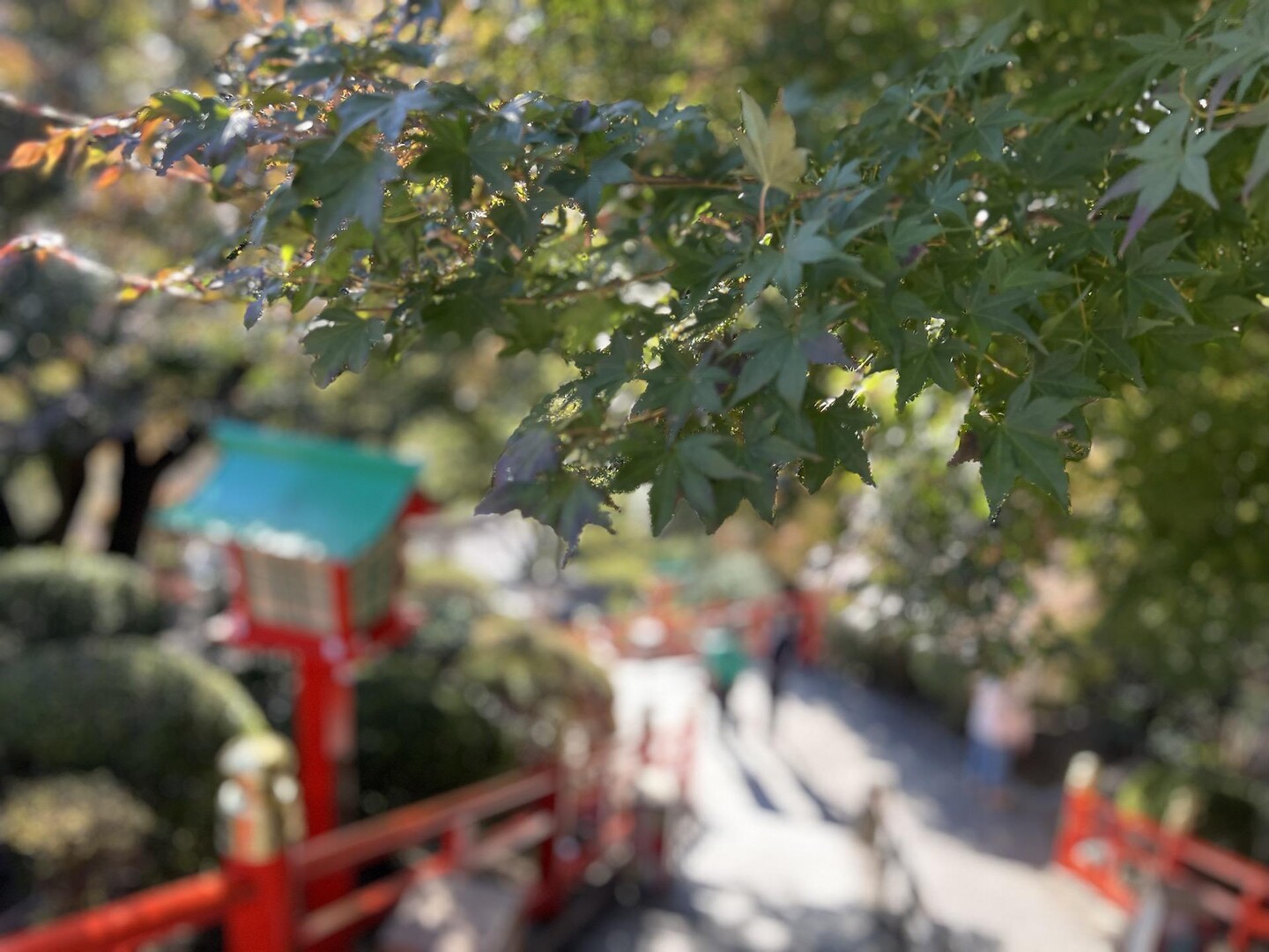 機神山・鏡山・明石山・両崖山 / TAKU-LOWさんの両崖山・仙人ヶ岳・石尊山の活動データ | YAMAP / ヤマップ