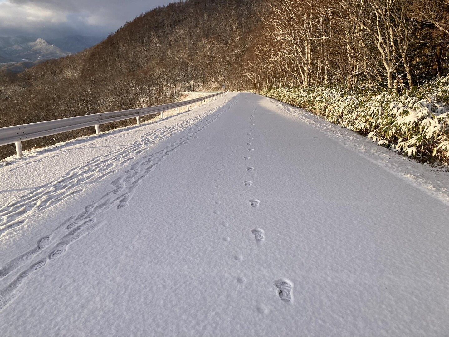 朝活藻岩山 / 2525さんの藻岩山の活動日記 | YAMAP / ヤマップ