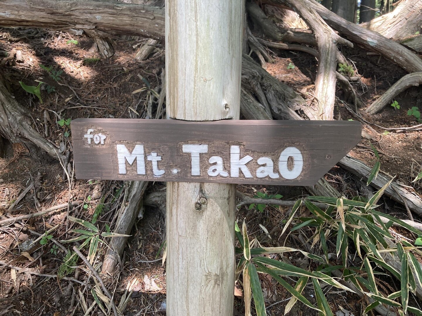🎏高尾〜陣馬往復 / sakaさんの高尾山・陣馬山・景信山の活動データ | YAMAP / ヤマップ