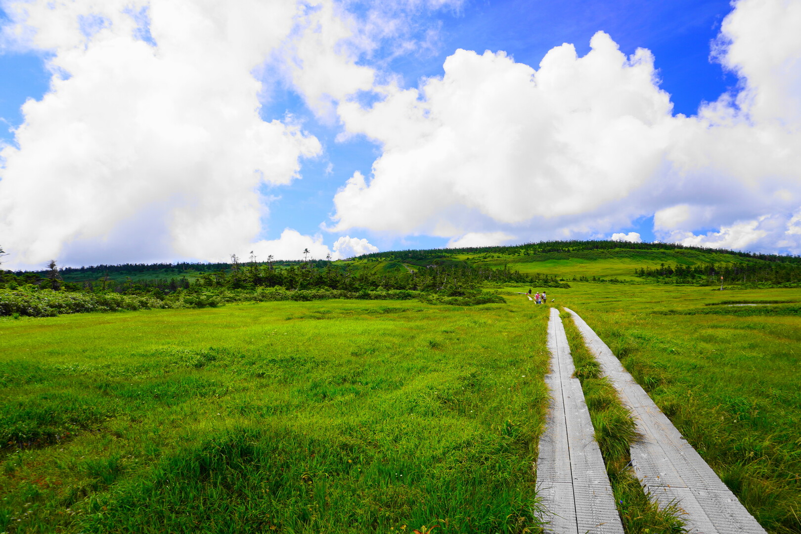 源太森・茶臼岳・八幡平_偶然の出会いも、 / shunさんの八幡平・源太森・安比岳の活動日記 | YAMAP / ヤマップ