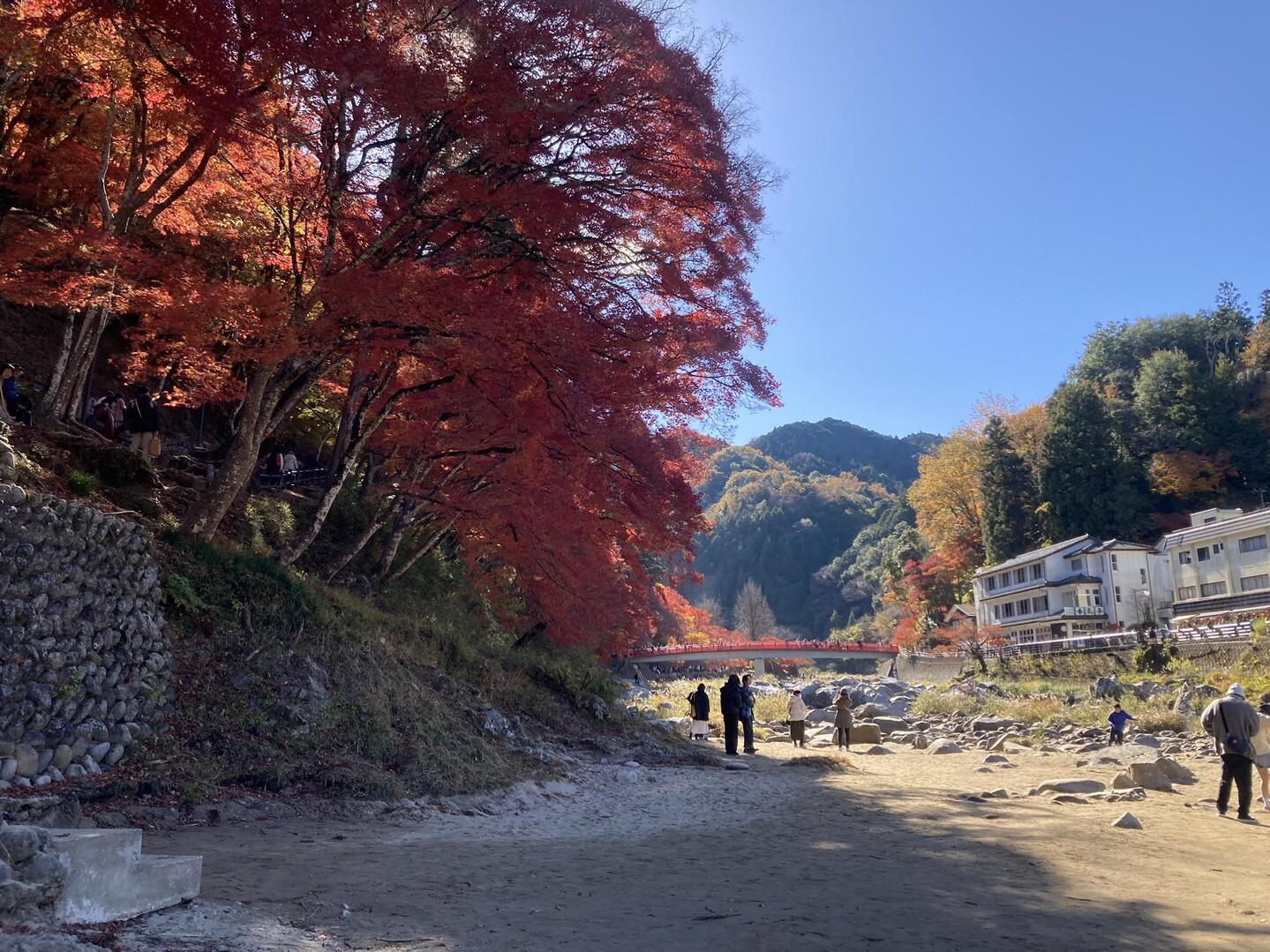 香嵐渓•飯盛山•真弓山 / jingerさんの黍生・飯盛山・真弓山の活動データ | YAMAP / ヤマップ