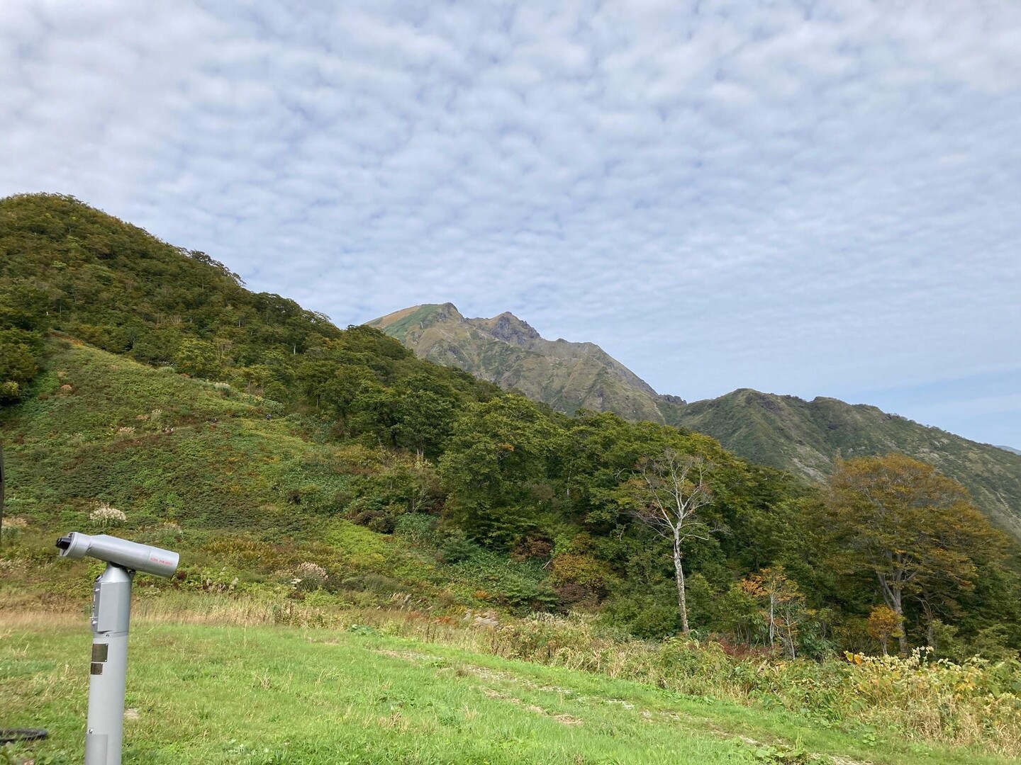 谷川岳（トマの耳・オキノ耳）は休日避けた方が無難 / Nano Yamazukiさんの谷川岳・七ツ小屋山・大源太山の活動データ | YAMAP / ヤマップ