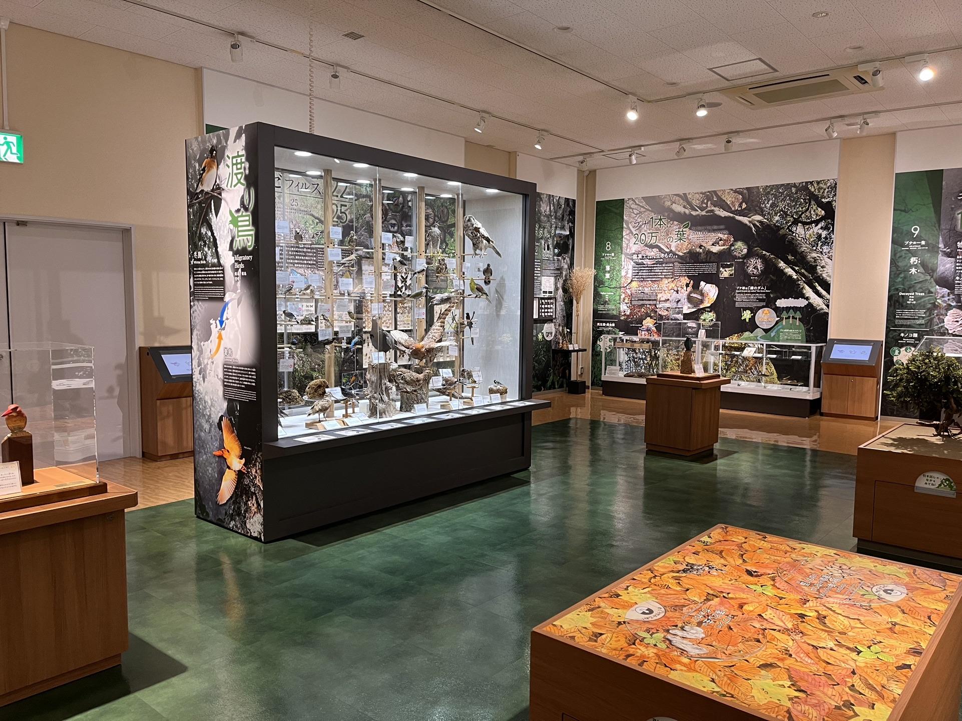 大山登山の翌日 妻も僕も両足にかなりのダ... / Takeさんのモーメント | YAMAP / ヤマップ