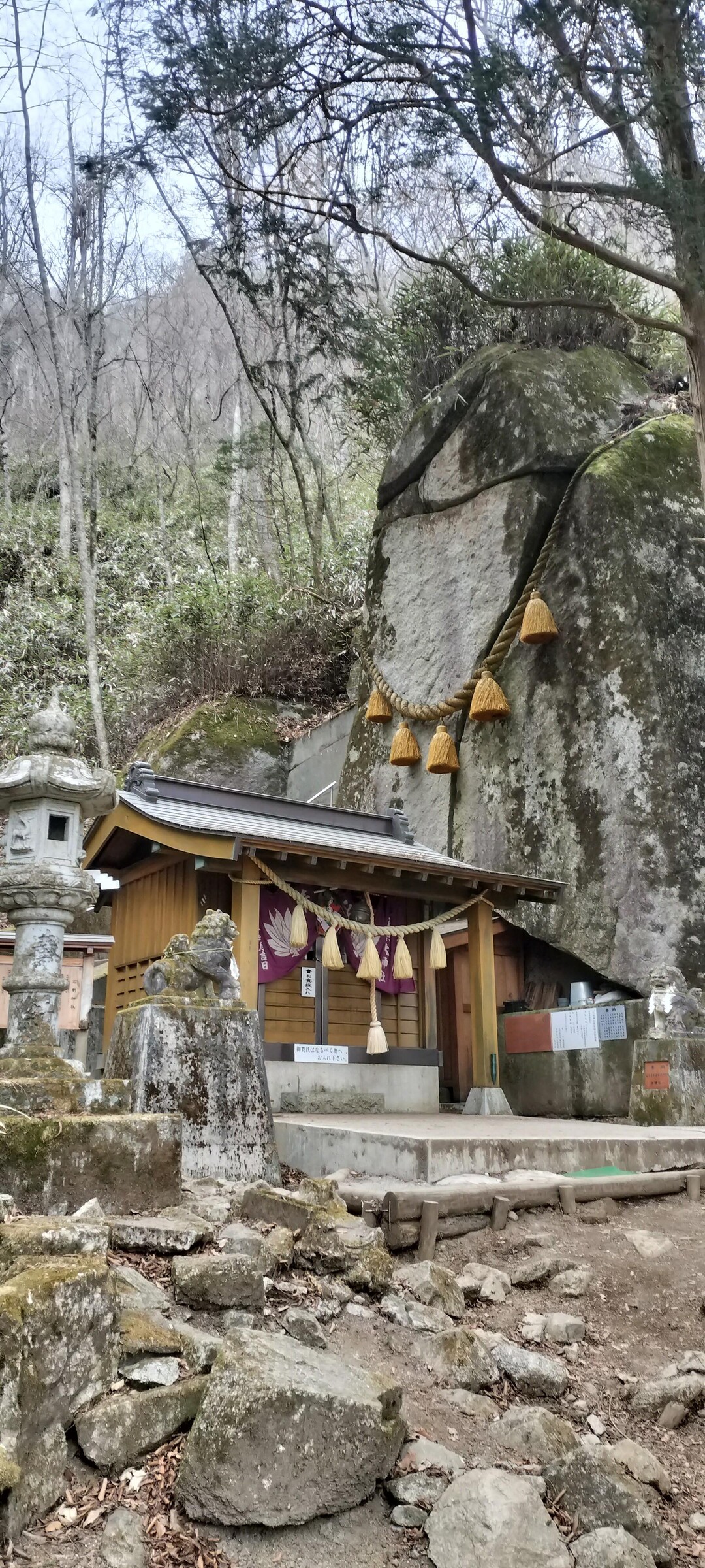 石割山 / Asamiさんの富士山の活動データ | YAMAP / ヤマップ