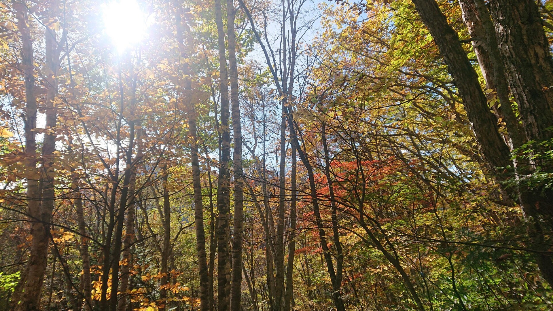 十石山 / mastankさんの乗鞍岳の活動データ | YAMAP / ヤマップ