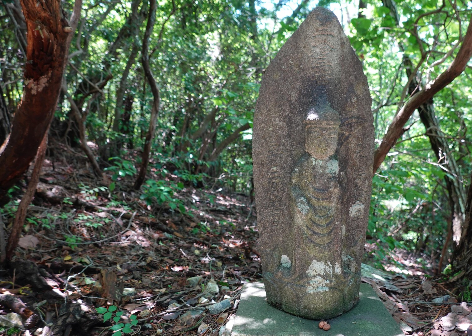 浅間山（美濃富士） 2023-06-25 / wtaxus わたくさすさんの浅間山（美濃富士）の活動データ | YAMAP / ヤマップ