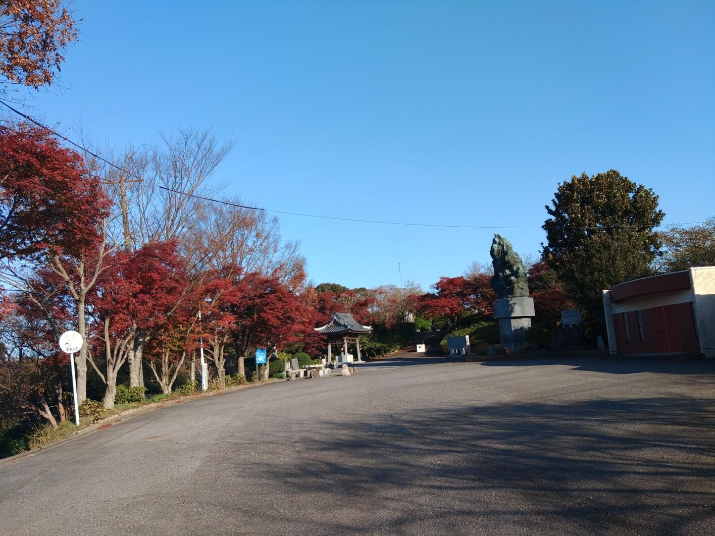 三ヶ根山最高点 / smileさんの三ヶ根山の活動データ | YAMAP / ヤマップ