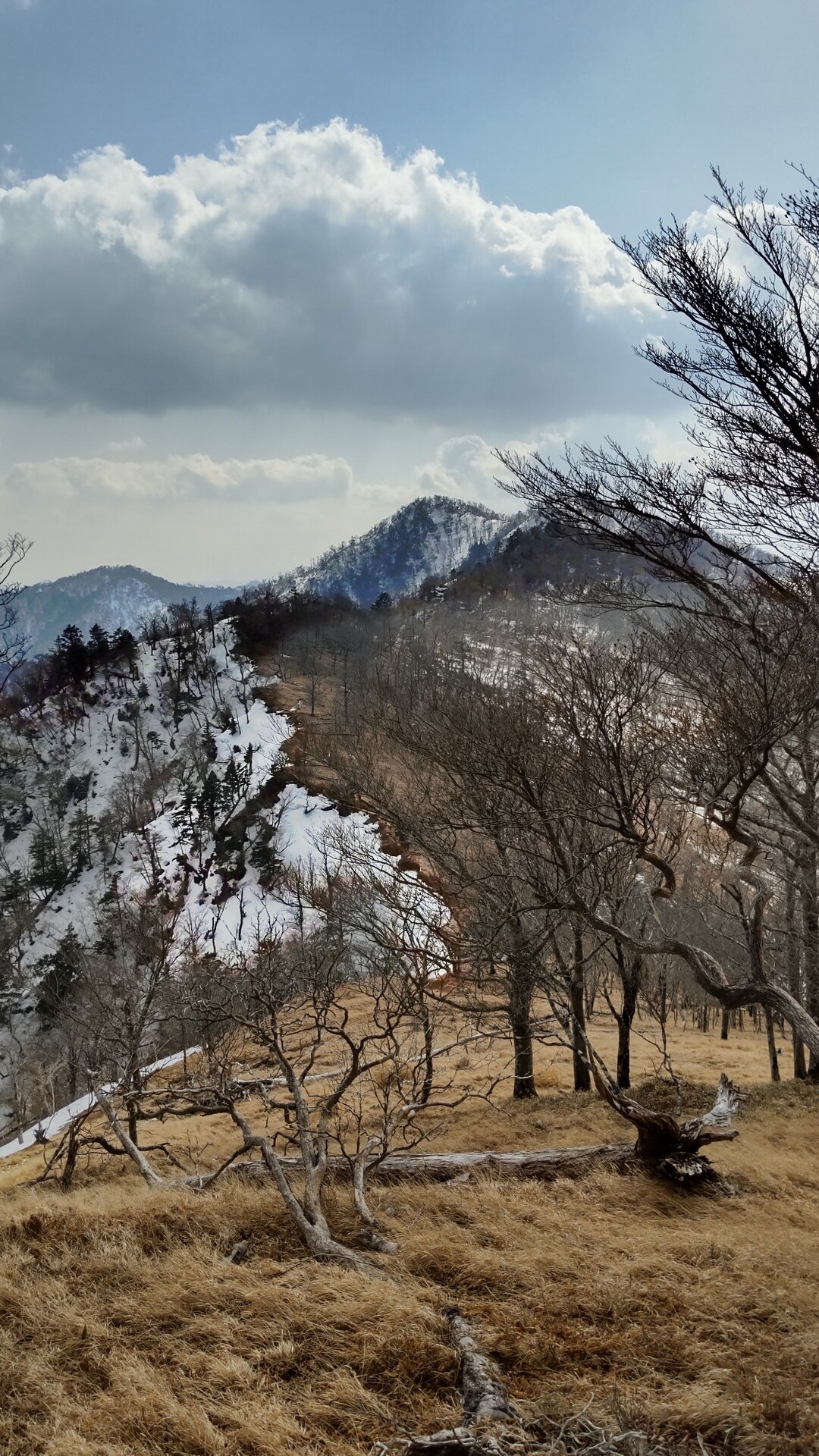 南奥駈道縦走 前鬼 行仙岳 / small422さんの笠捨山の活動データ | YAMAP / ヤマップ