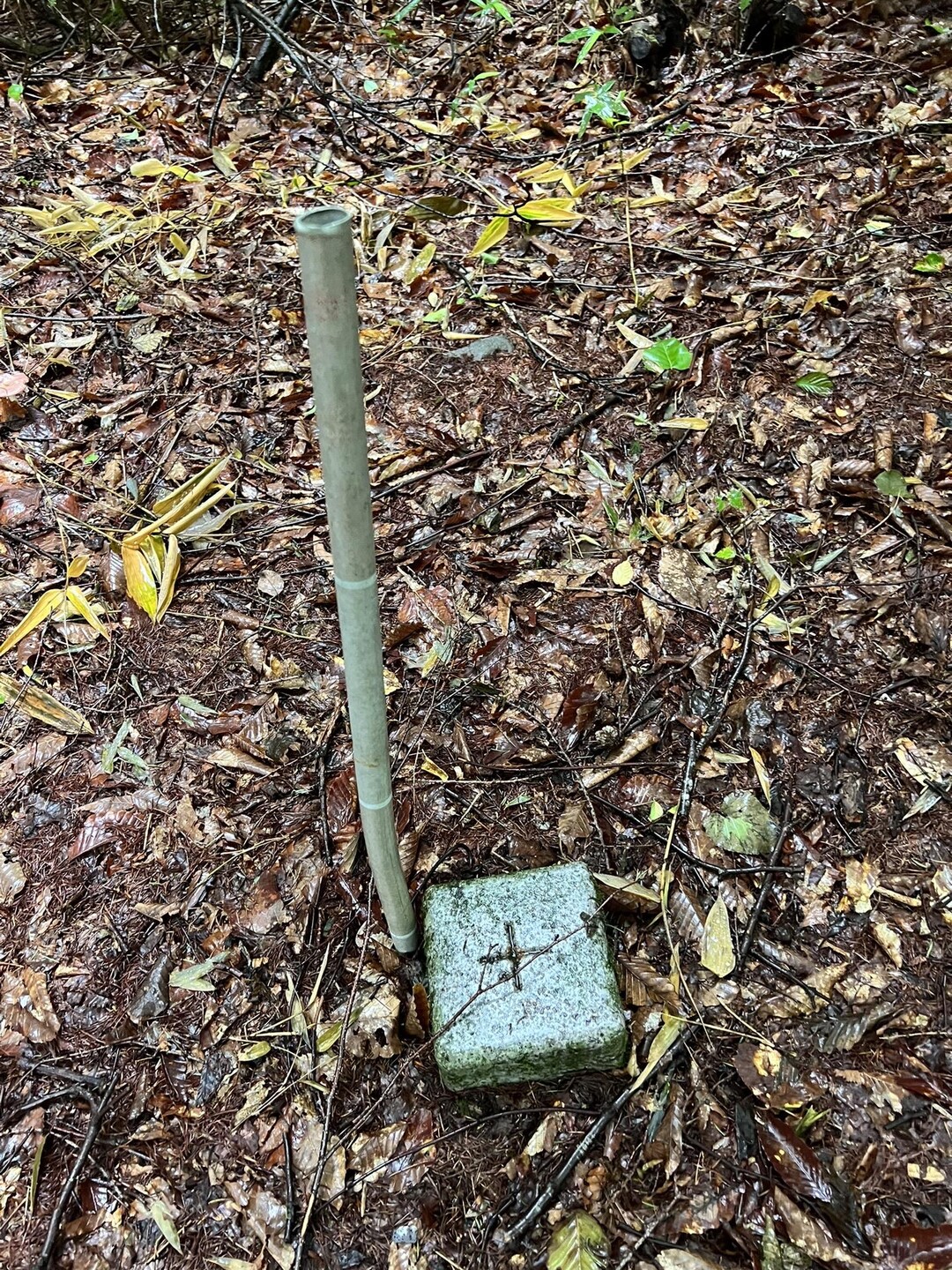 岩畑山 / みさまこさんの岩手山・八幡平・安比高原 50km トレイルの活動データ | YAMAP / ヤマップ