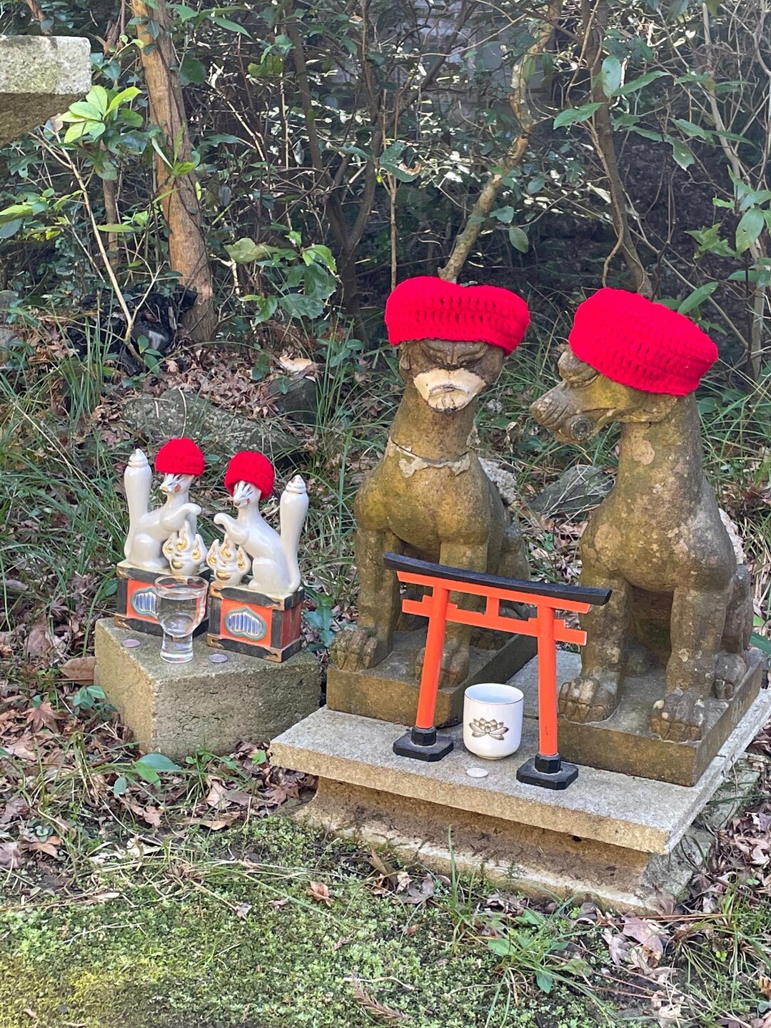 不動山・札立山 / mayumikoさんの紀泉アルプス・飯盛山・ボンデン山の活動データ | YAMAP / ヤマップ