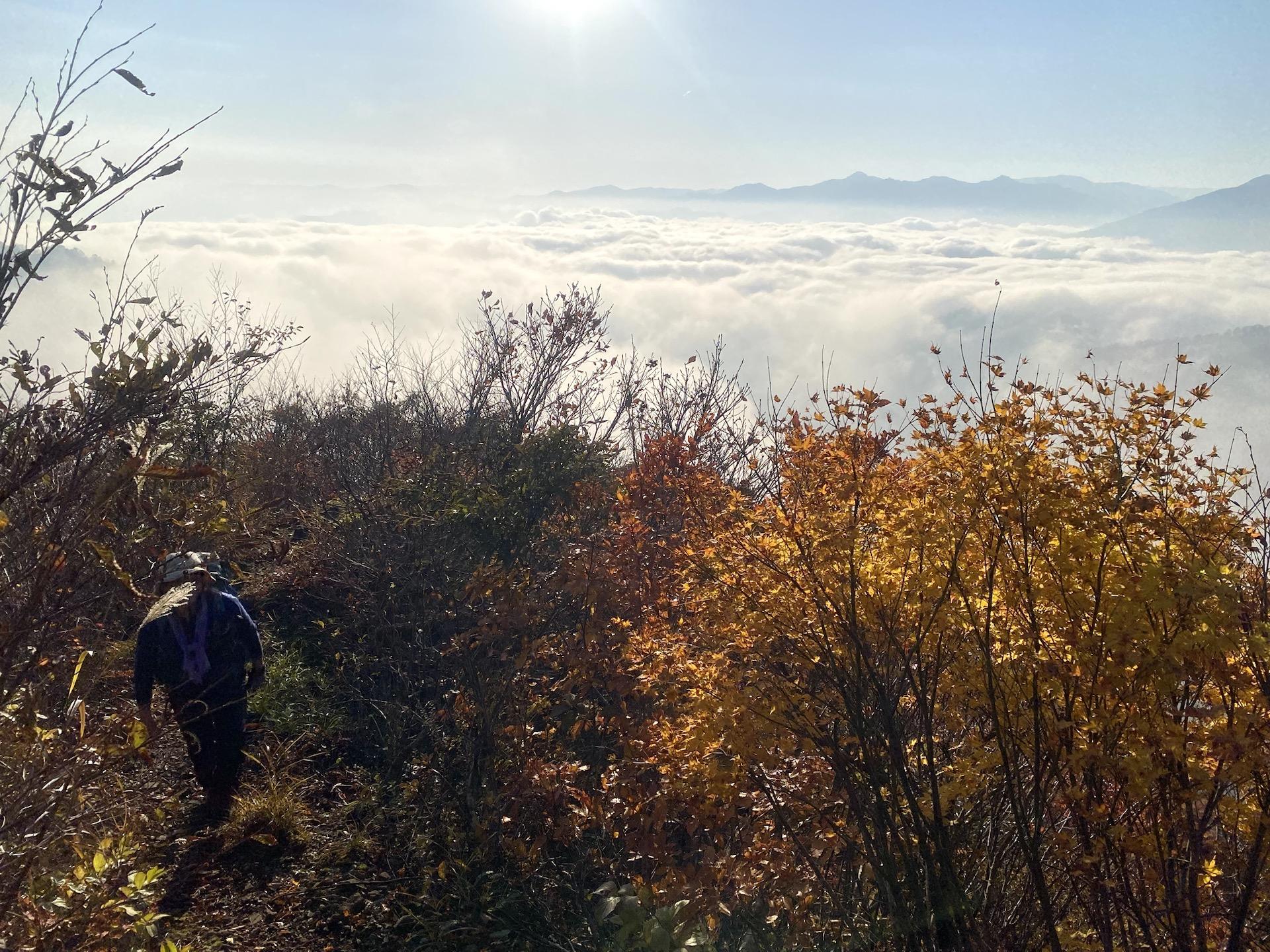 小春日和の浅草岳 田子倉から六十里登山口 / mtakoさんの浅草岳・鬼ヶ面山の活動データ | YAMAP / ヤマップ