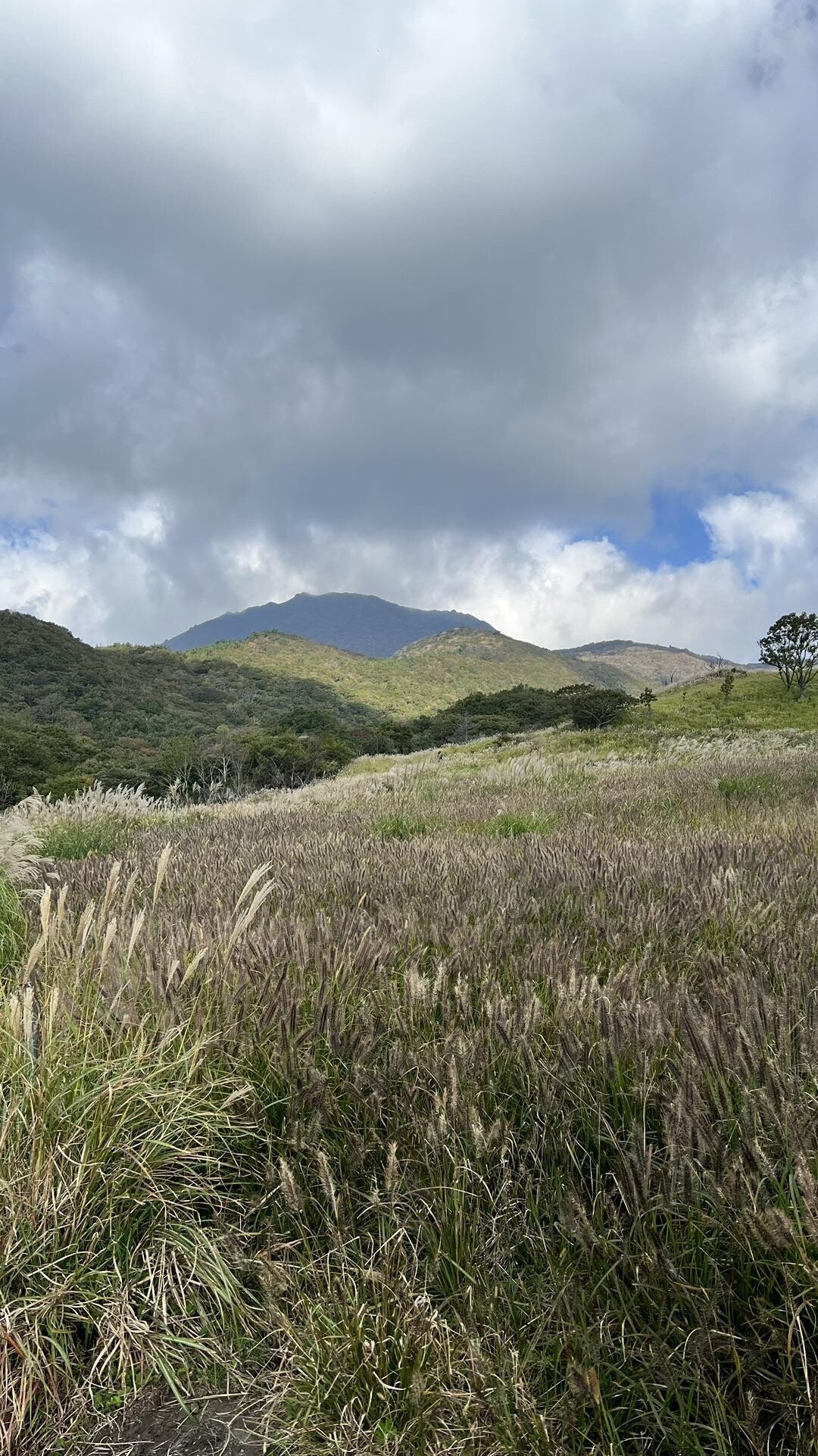 秋は🍁みれるかな？ 予報は晴れ 現在曇... / kentakaさんのモーメント | YAMAP / ヤマップ