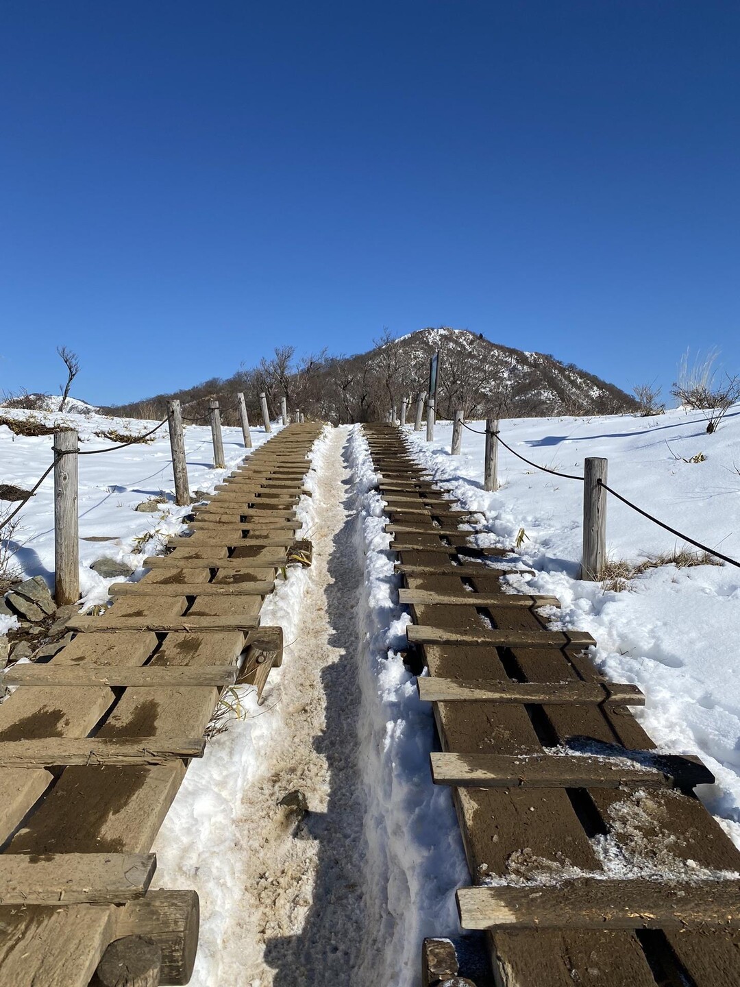 堀山・塔ノ岳・日高・竜ヶ馬場・丹沢山 / Annさんの塔ノ岳・丹沢山・蛭ヶ岳の活動データ | YAMAP / ヤマップ