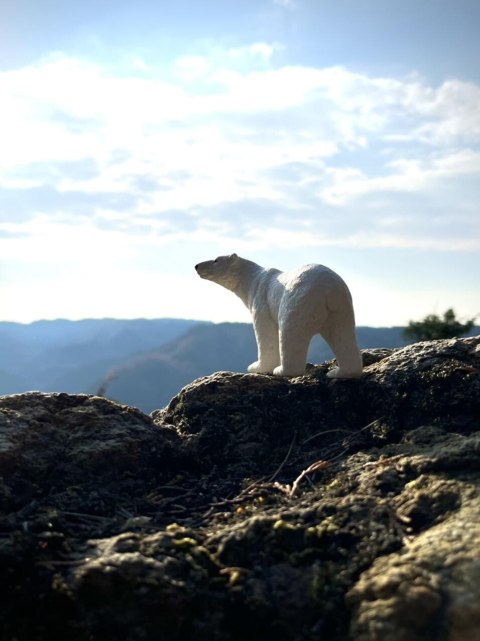 satoのページ | YAMAP / ヤマップ