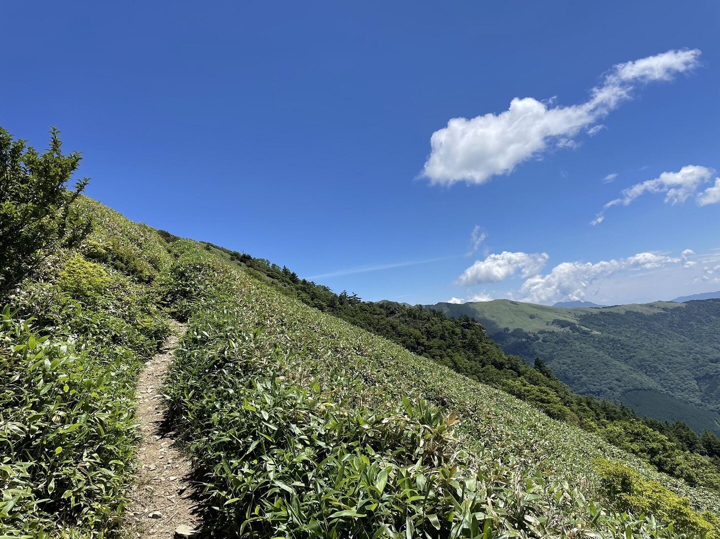 灼熱の寒風山 / MABOさんの笹ヶ峰・寒風山・平家平の活動データ | YAMAP / ヤマップ