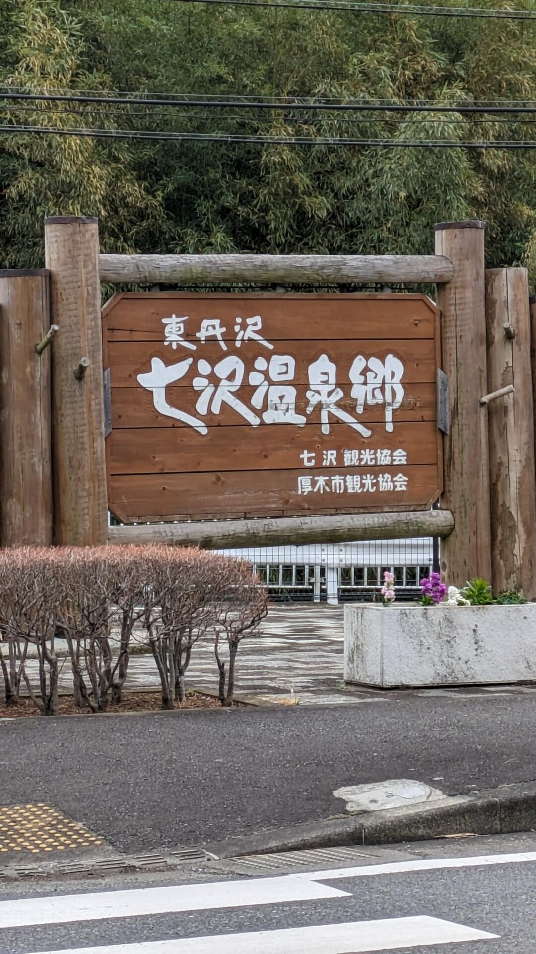 ミツマタを求めに東丹沢へ…早すぎた😣 / saitoさんさんの大山の活動データ | YAMAP / ヤマップ