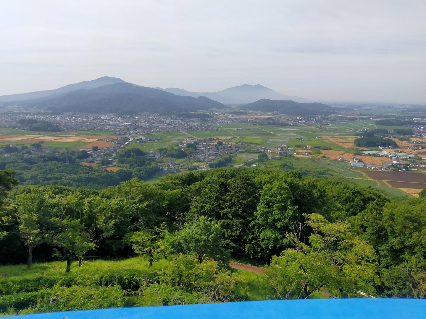 ウォーキング-2023-06-05 / 🍱TANAKA🍱さんのウォーキングの活動データ | YAMAP / ヤマップ