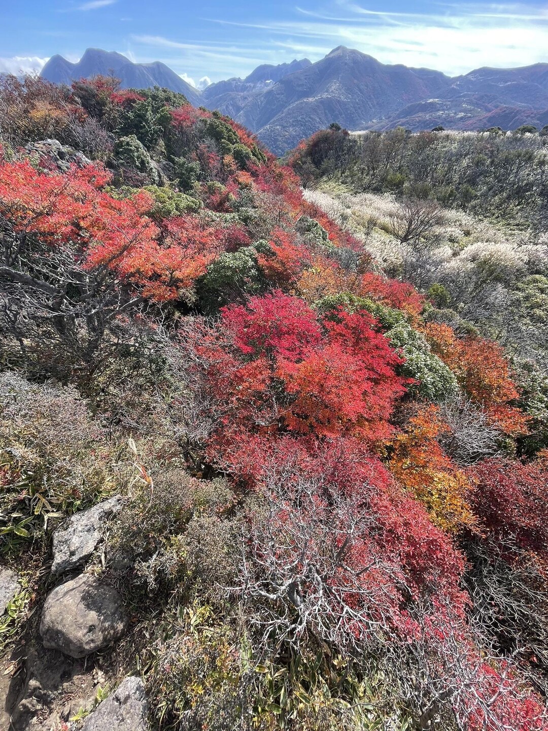 泉水山・上泉水山・黒岩山 / key_ko86さんの九重山（久住山）・大船山・星生山の活動データ | YAMAP / ヤマップ
