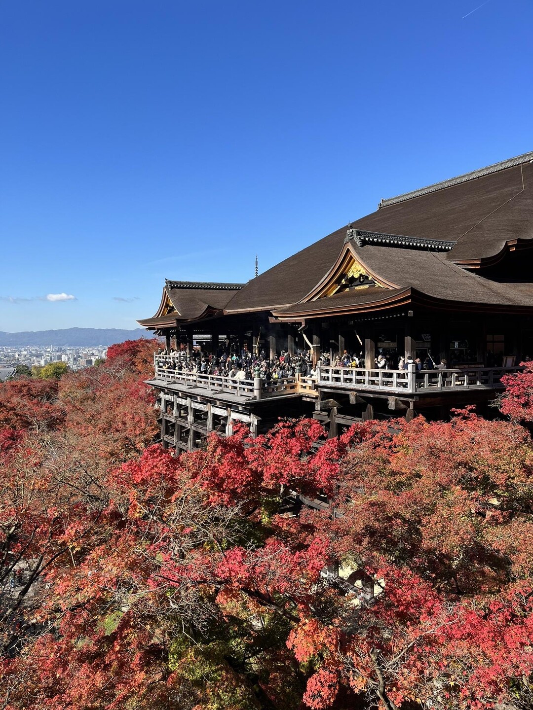 京都その① 素晴らしいお天気でした。 午... / cocoさんのモーメント | YAMAP / ヤマップ