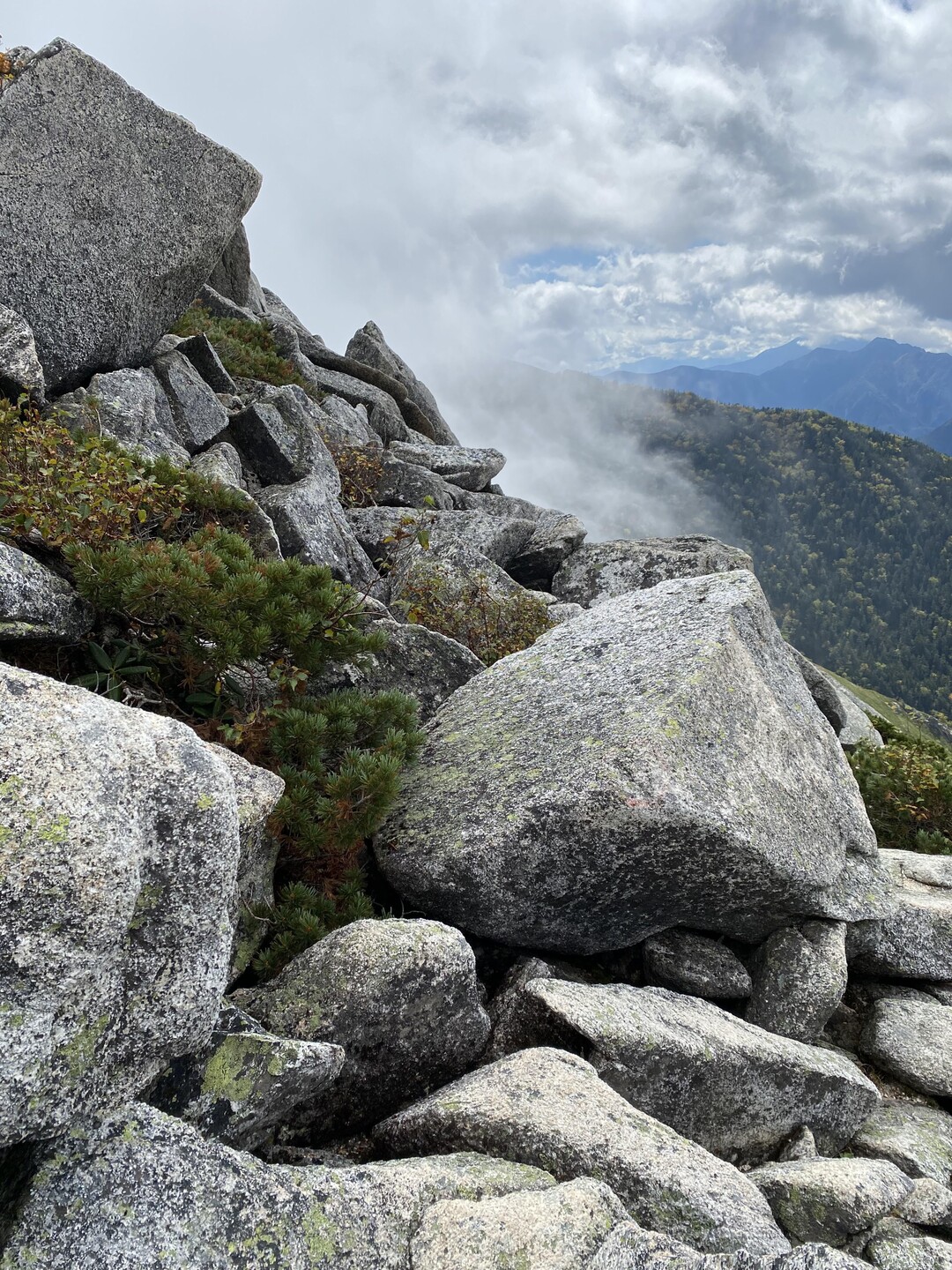 Gentil15さんの投稿したフィールドメモ | YAMAP / ヤマップ