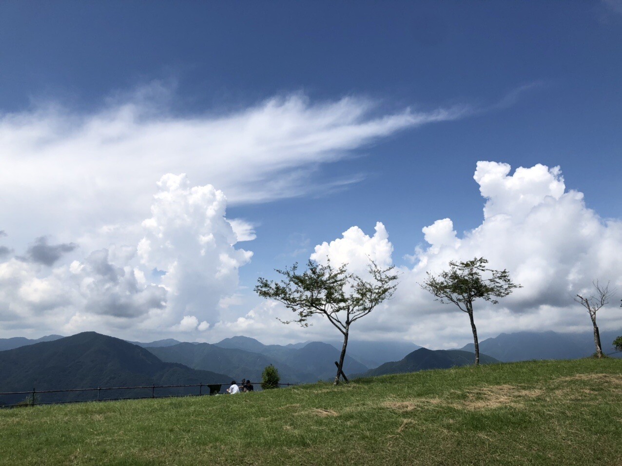 三保ダム〜大野山 / MARINさんのウォーキングの活動データ | YAMAP / ヤマップ