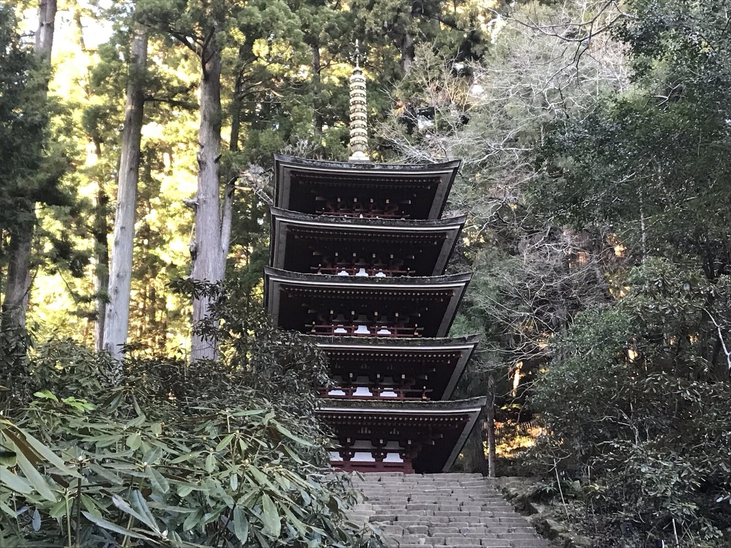 女人高野・室生寺へ / MOさんの三郎岳・高城岳の活動データ | YAMAP / ヤマップ