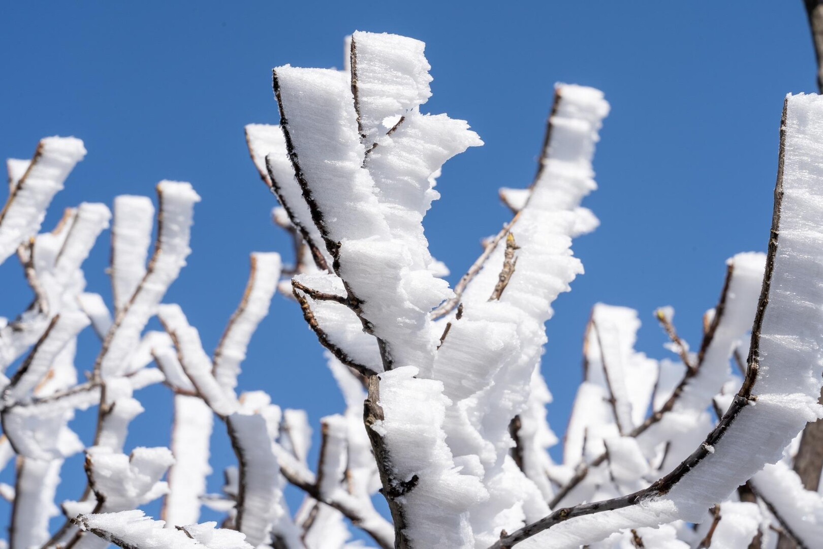 烏帽子岳 / chikaさんの阿蘇山・高岳・根子岳の活動データ | YAMAP / ヤマップ
