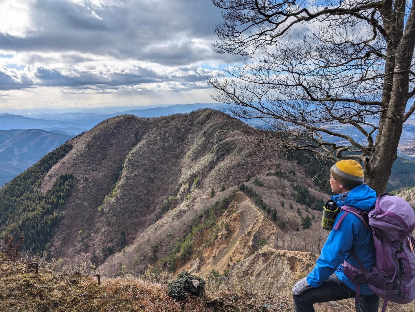 爆風の 水無山・水無山南峰・綿向山 / ☆miko☆さんの綿向山の活動データ | YAMAP / ヤマップ