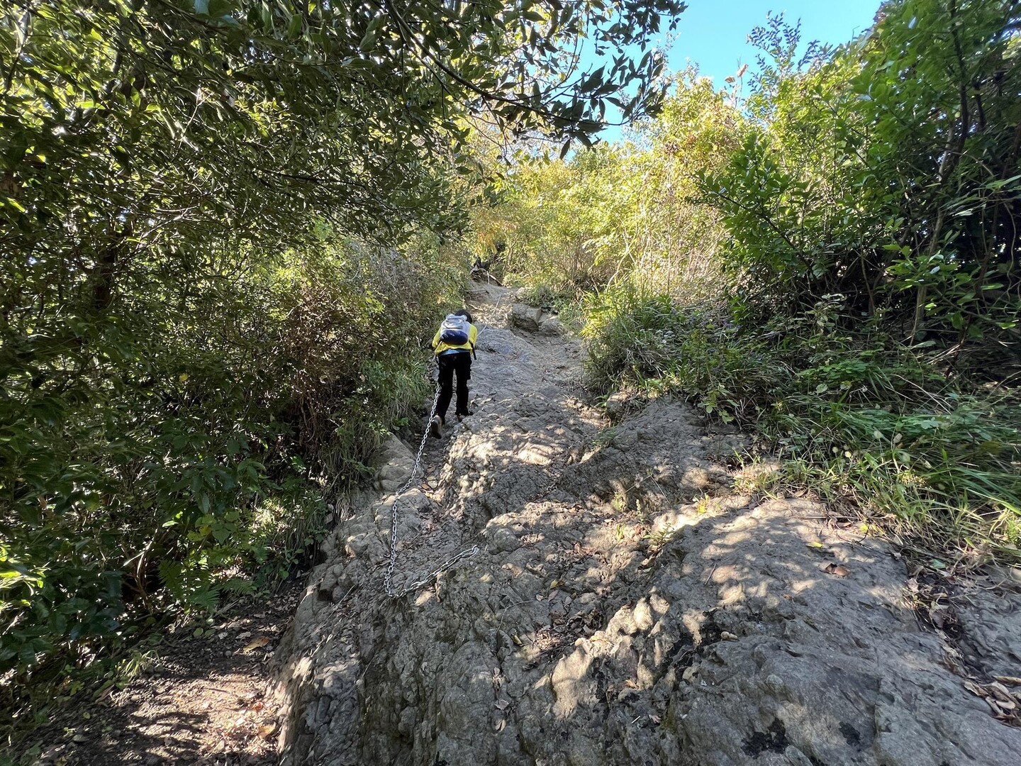 伊予ヶ岳(南峰)・伊予ヶ岳(北峰) / kalo_zzzさんの伊予ヶ岳・人骨山・津森山の活動データ | YAMAP / ヤマップ